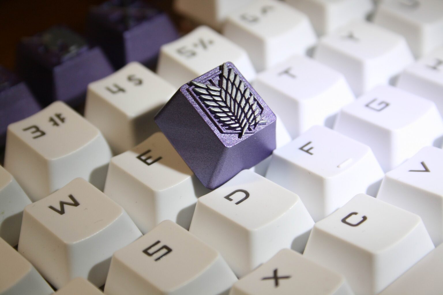 Attack on Titan Emblems: An Unique Collection | Kawaiikeycaps